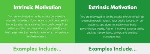 Extrinsic & Intrinsic Motivation Examples - What’s the Difference ...