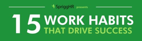 15 Work Habits that Drive Success • SpriggHR